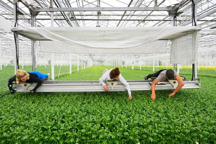 Energietransitie tuinbouw: keuze of harde noodzaak? - Hortimedia